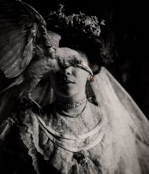 What is a Witch? – Maiden and Crow Spiritual Apothecary