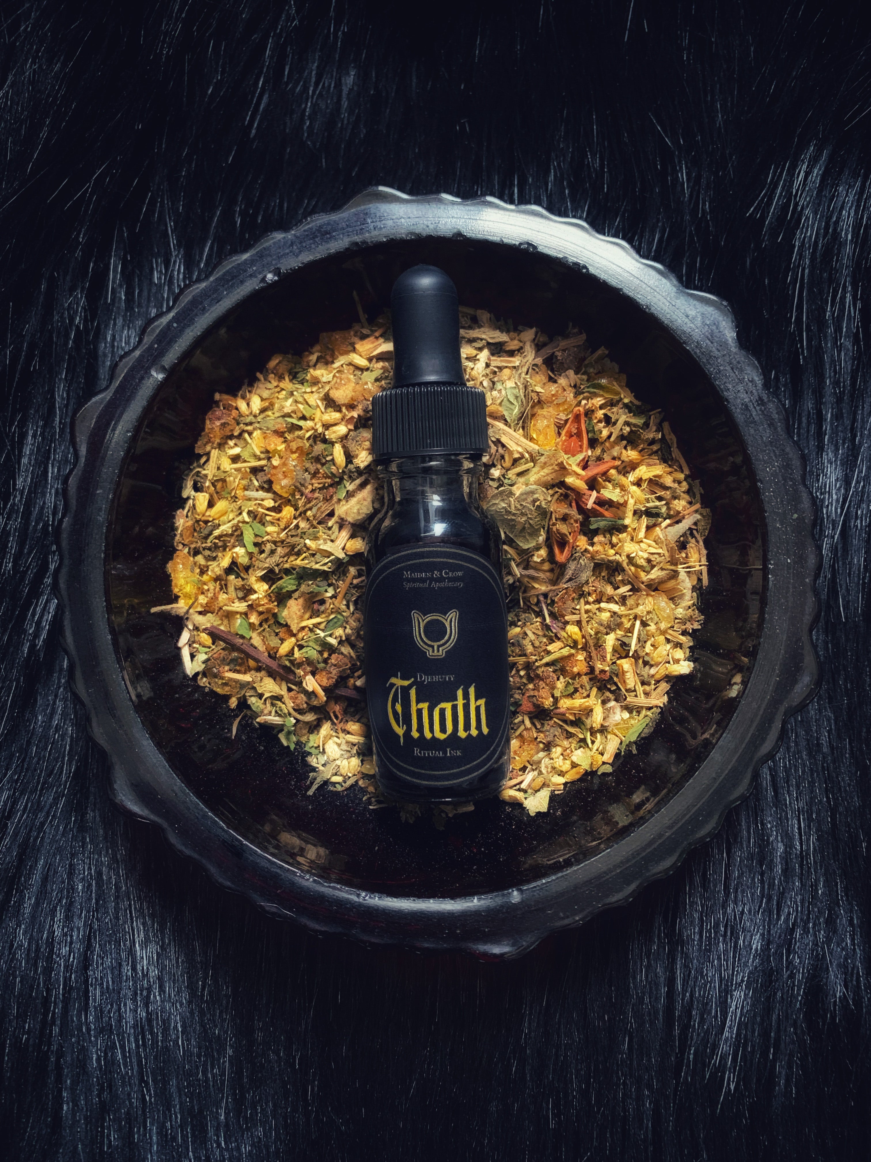 Thoth Black Nightshade Ink – Maiden and Crow Spiritual Apothecary